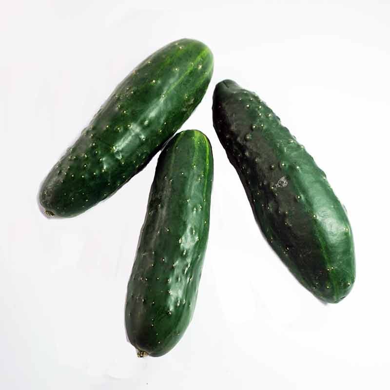 Pepino Cohombro orgánico x lb